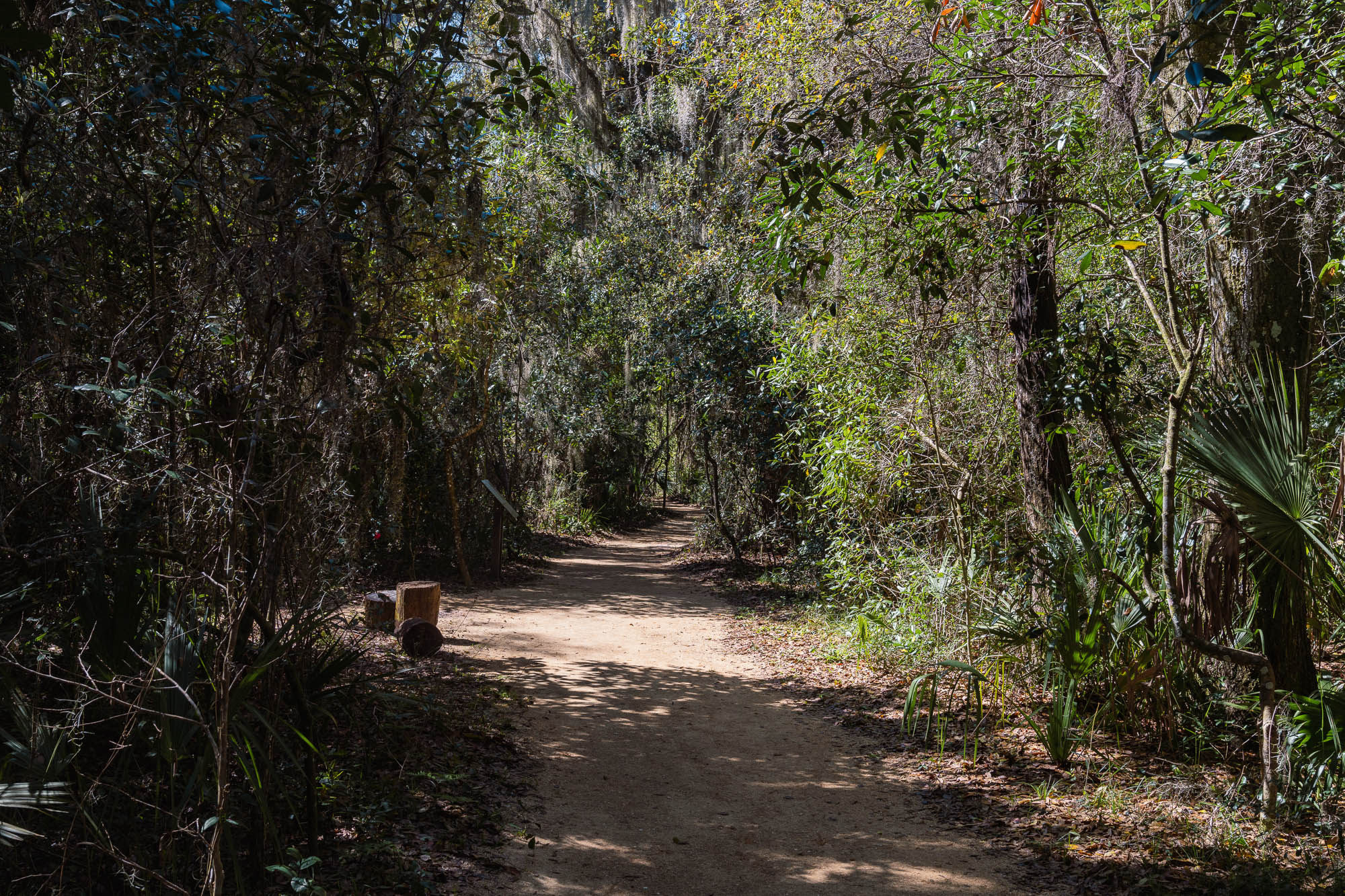 Guest Post: "May Our Stories Endure" at Fort Mose by George McKenzie Jr ...